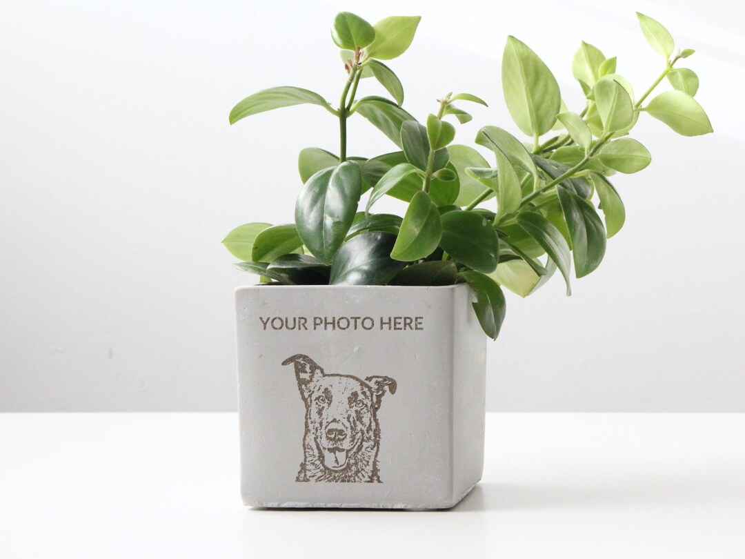 Custom Photo Flower Pot Laser Engraved Planter - Etsy