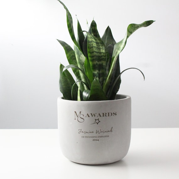 Personalized Concrete Planters