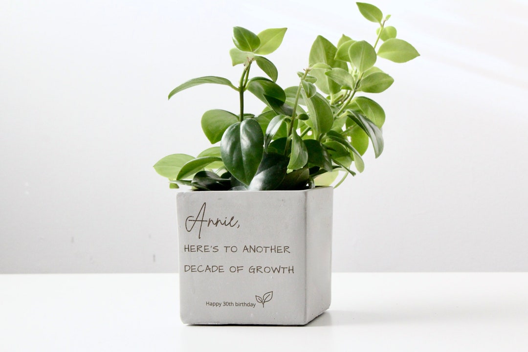 Personalized Engraved Birthday Gift Planter Pot | 20th, 30th, 40th ...