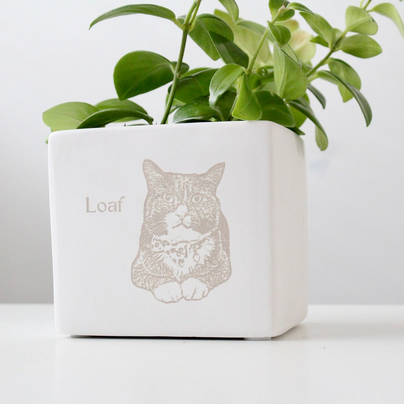 Cat Flower Pot - Etsy