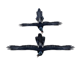 Tree, Kanji, Crows, Japanese, Chinese, Asian, Calligraphy Characters ...