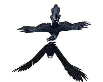 Tree, Kanji, Crows, Japanese, Chinese, Asian, Calligraphy Characters ...