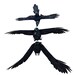 Husband, Kanji, Crows, Japanese, Chinese, Asian, Calligraphy Characters ...