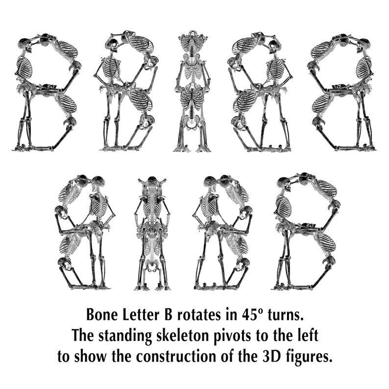 Alpha Xray Bones - Etsy