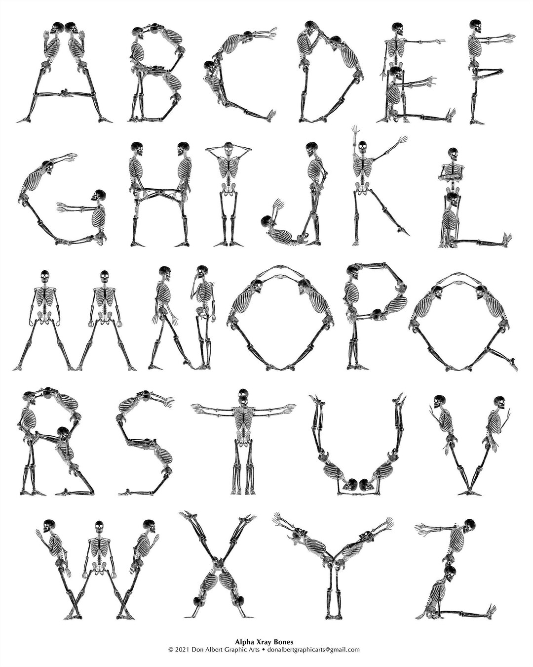 Alpha Xray Bones - Etsy