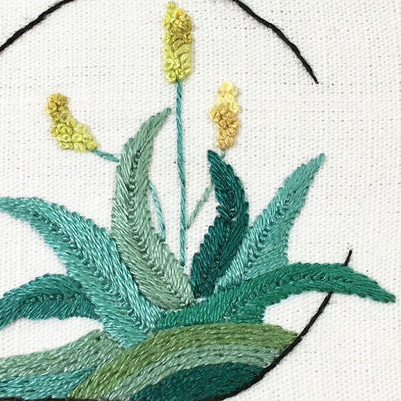 Plus_ Bonus Free Pattern_aloe in the Bulb _PDF Files_instant Download ...