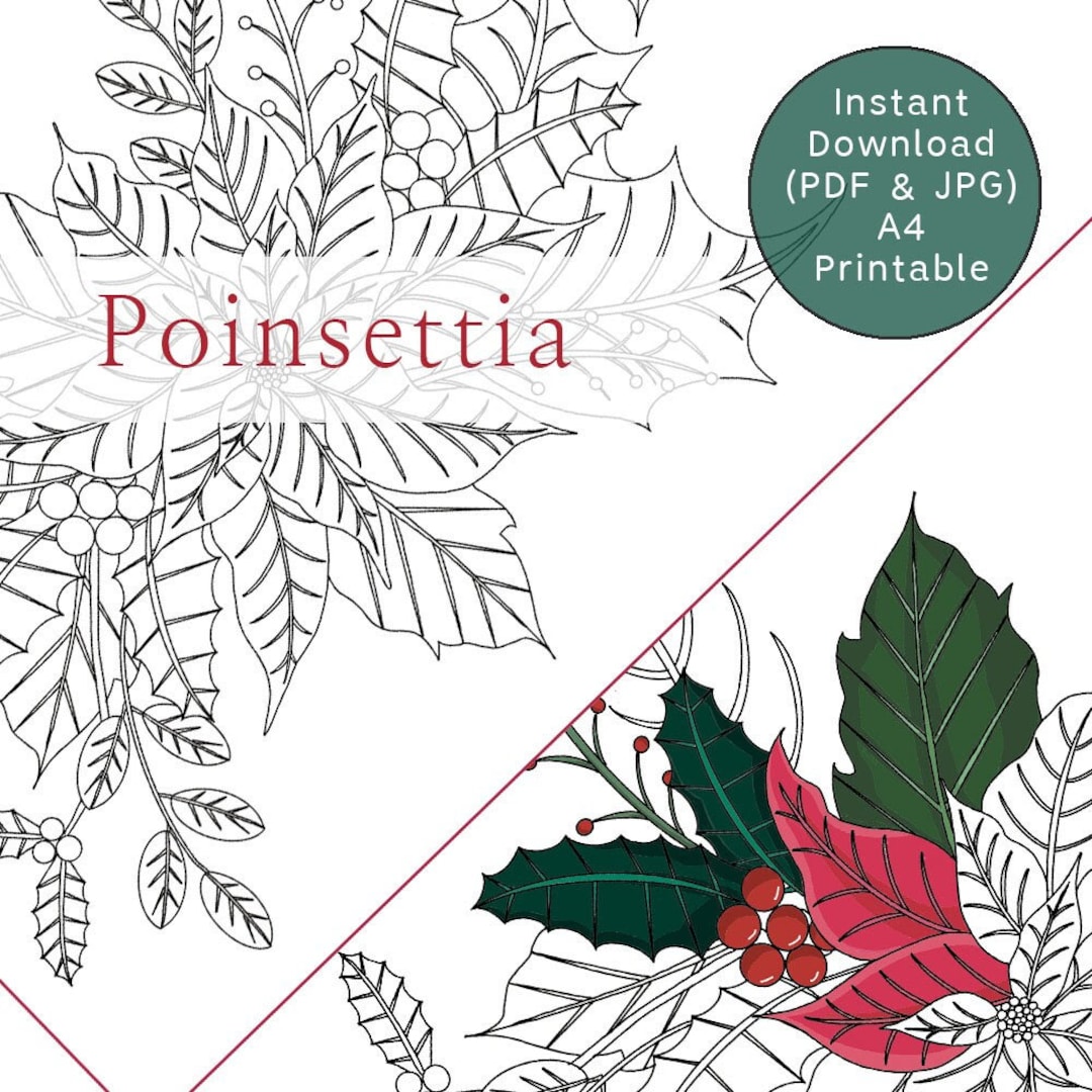 Coloring Page Poinsettia Merry Christmas A4 Printable Instant Download ...