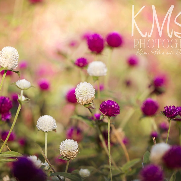 kmsartwi - Etsy