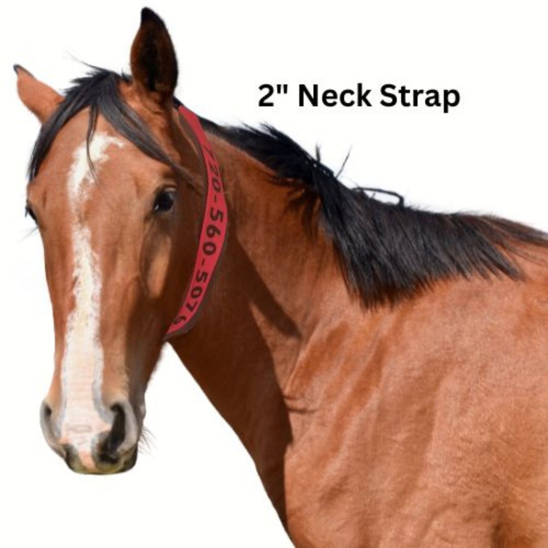 Personalized Horse Evacuation Identification Neck Strap 2 Inch Wide ...