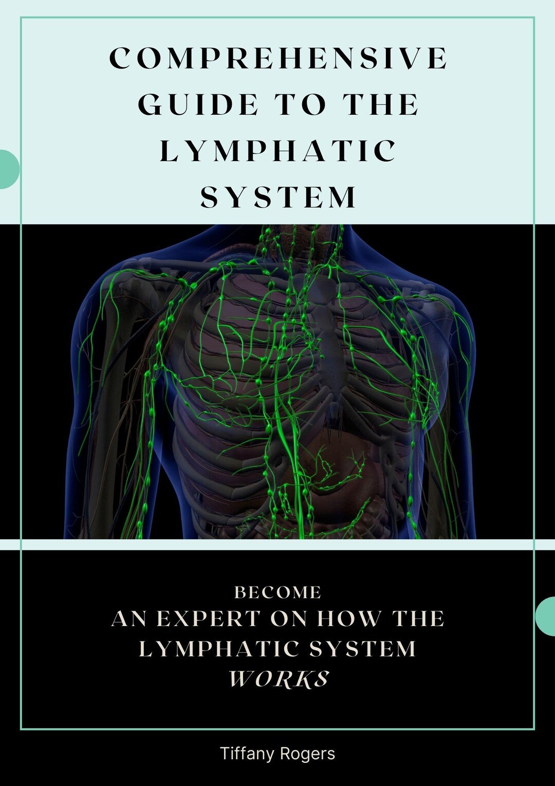 Comprehensive Guide to the Lymphatic System - Etsy