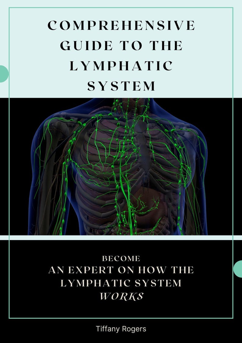 Comprehensive Guide to the Lymphatic System - Etsy