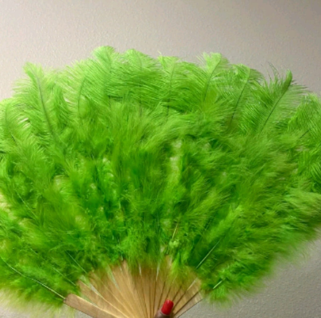 Burlesque Fans,dance Feather Fans,,ostrich Feather Fans,size ...