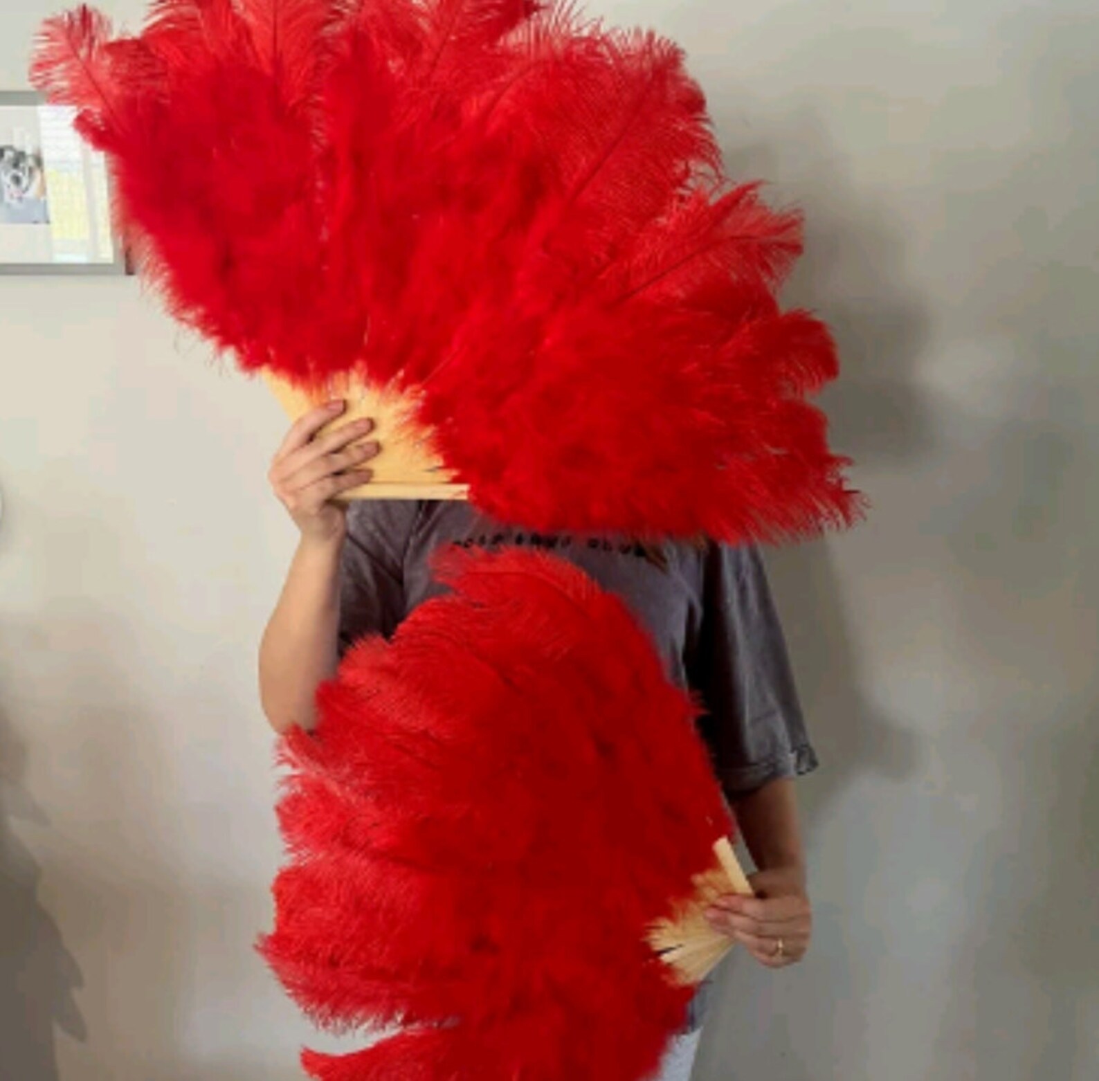 Burlesque Fans,dance Feather Fans,,ostrich Feather Fans,size ...