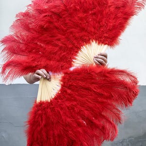 Burlesque Fans,dance Feather Fans,,ostrich Feather Fans,size ...