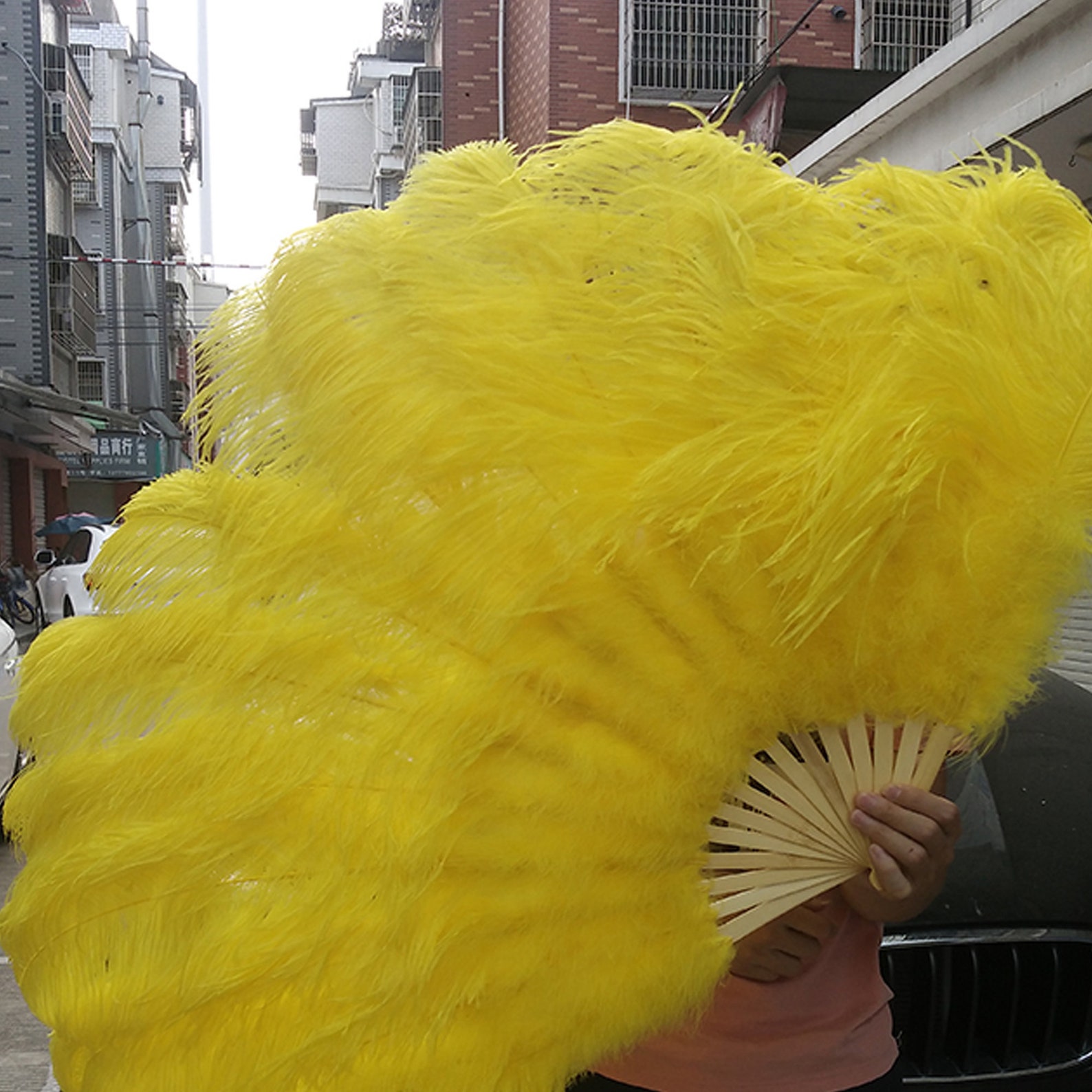 Burlesque Fansdance Feather Fansostrich Feather | Etsy