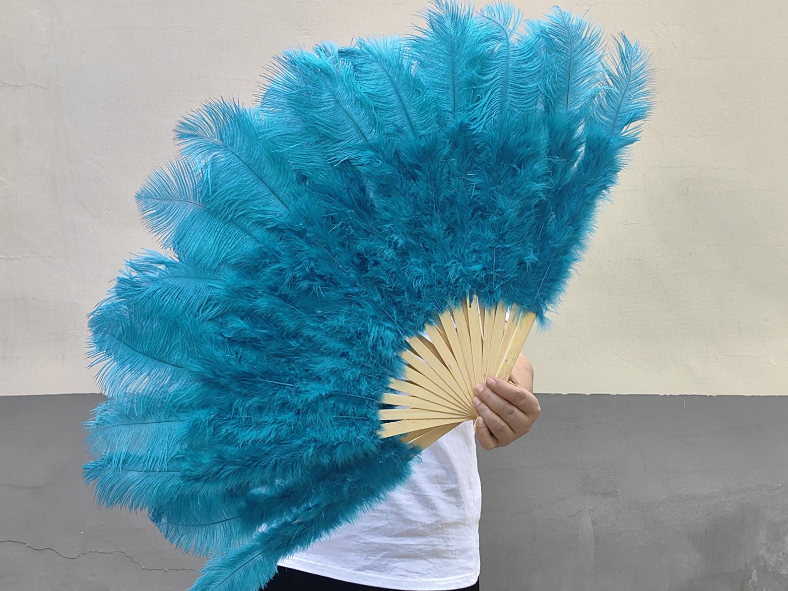 Burlesque Fans,dance Feather Fans,,ostrich Feather Fans,size ...