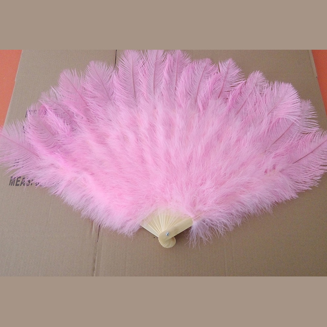 Burlesque Fans,dance Feather Fans,,ostrich Feather Fans,size ...