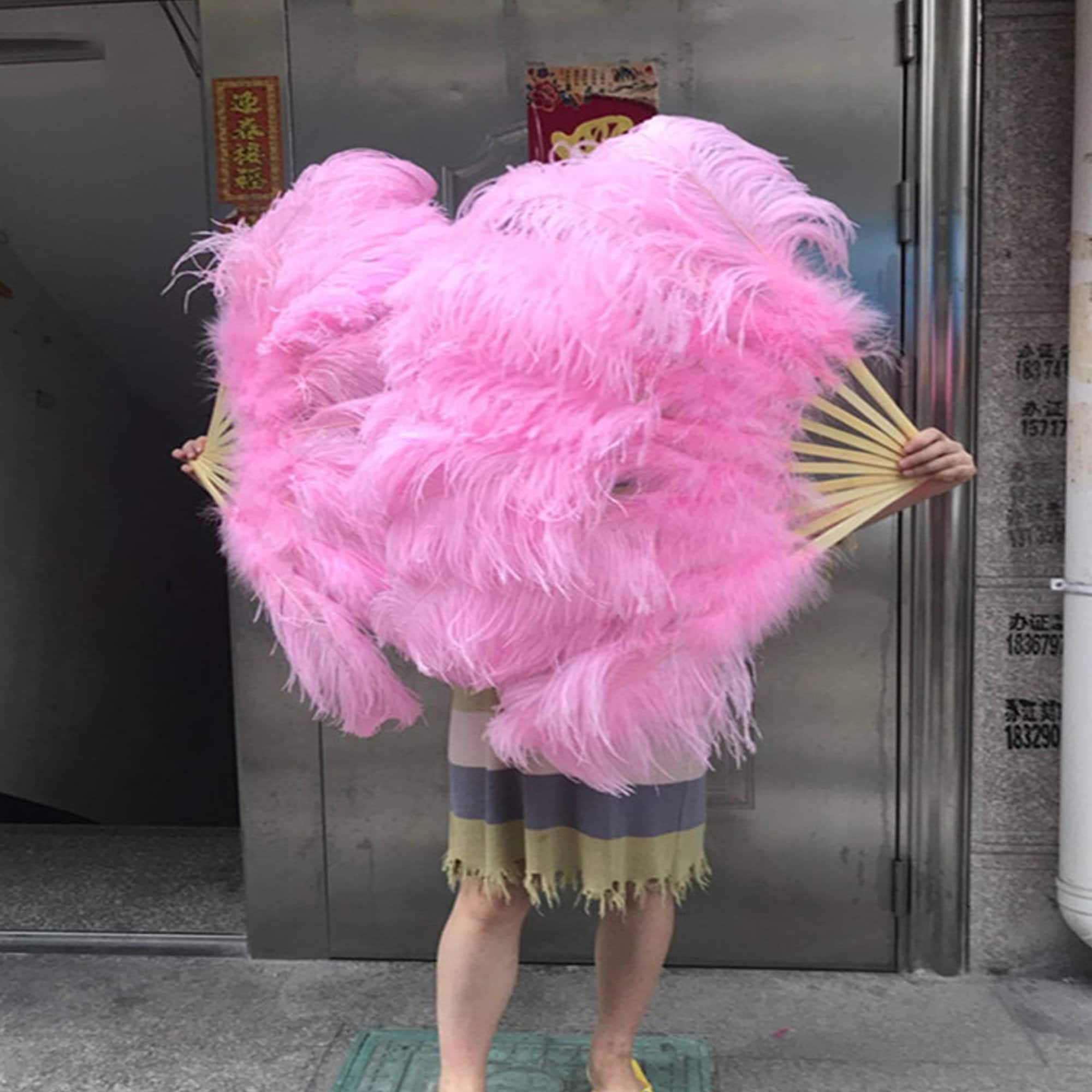 Burlesque Fansdance Feather Fansostrich Feather - Etsy