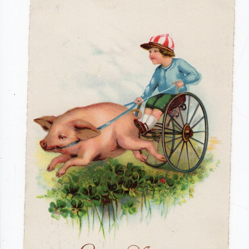 Vintage Postcard Pig - Etsy UK