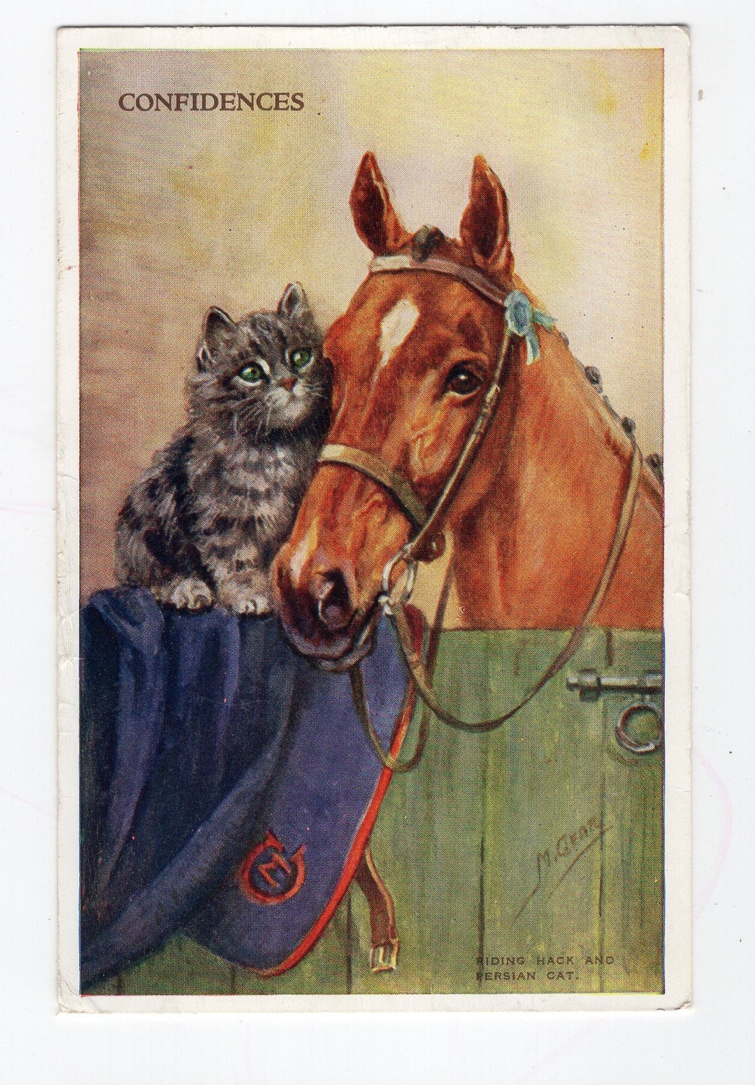 Vintage Mabel Gear Horse Art Postcard, Confidences, Grey Persian Cat ...