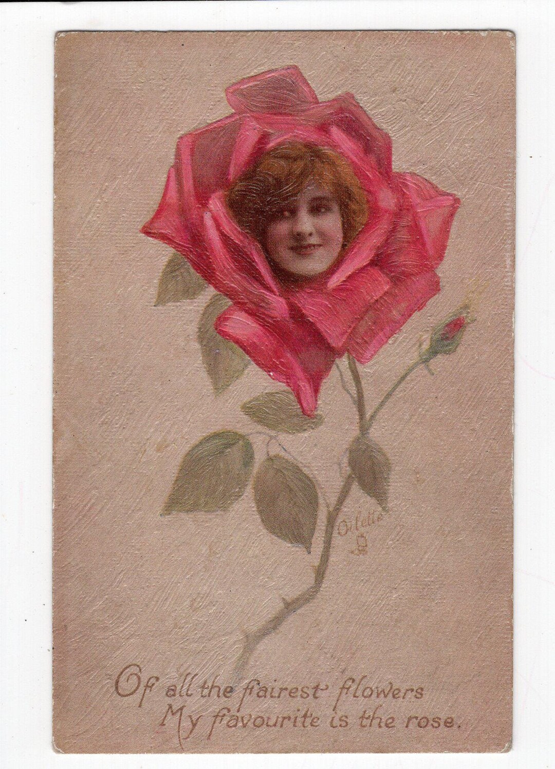 Antique Anthropomorphic Flower Face Picture Postcard Pink Rose, Glamour ...