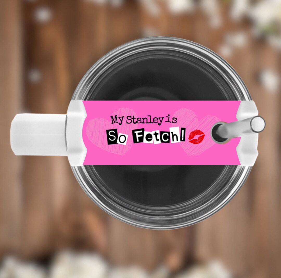 40oz Stanley Name Plate, Mean Girls Stanley Plate, Thats so Fetch - Etsy