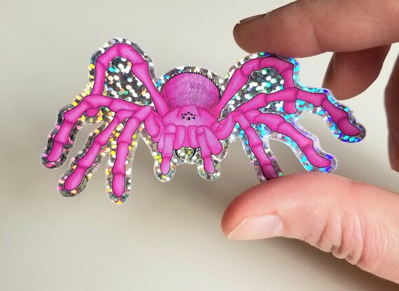 Glittery Pink Spider Vinyl Sticker scratch and Weatherproof | Etsy