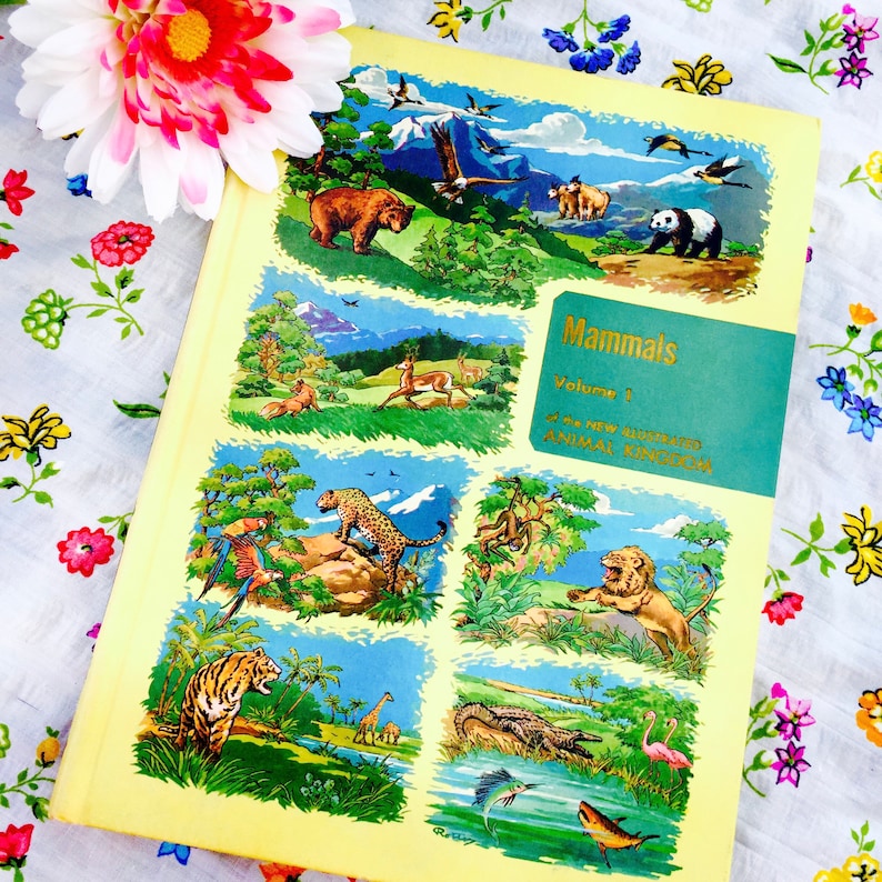 Vintage 1960s Illustrated Encyclopedia of Animal Life Vol 1 2 - Etsy UK