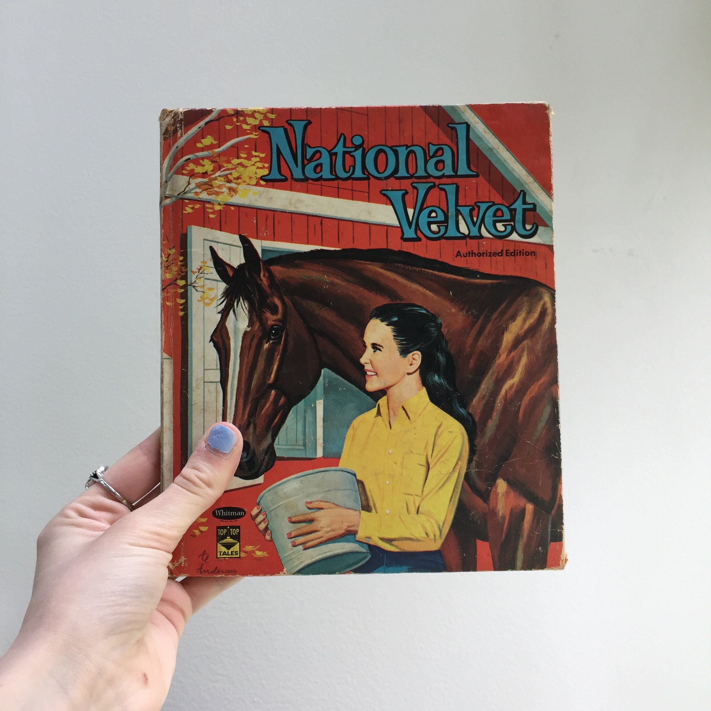 Vintage National Velvet Book, 1960s National Velvet Children's book ...