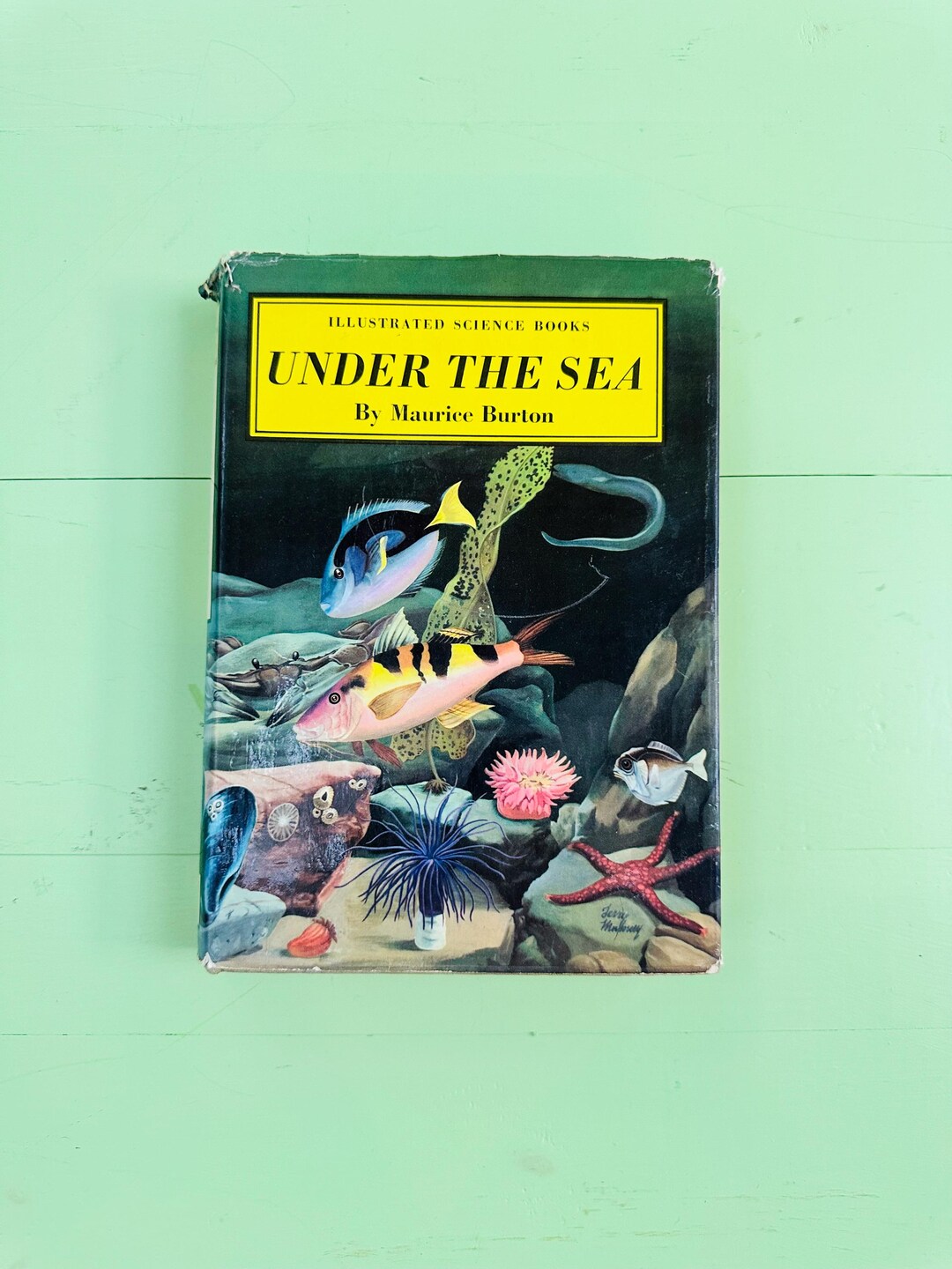 Vintage 60s "under the Sea" Book 1st Edition Illustrated Science Book ...