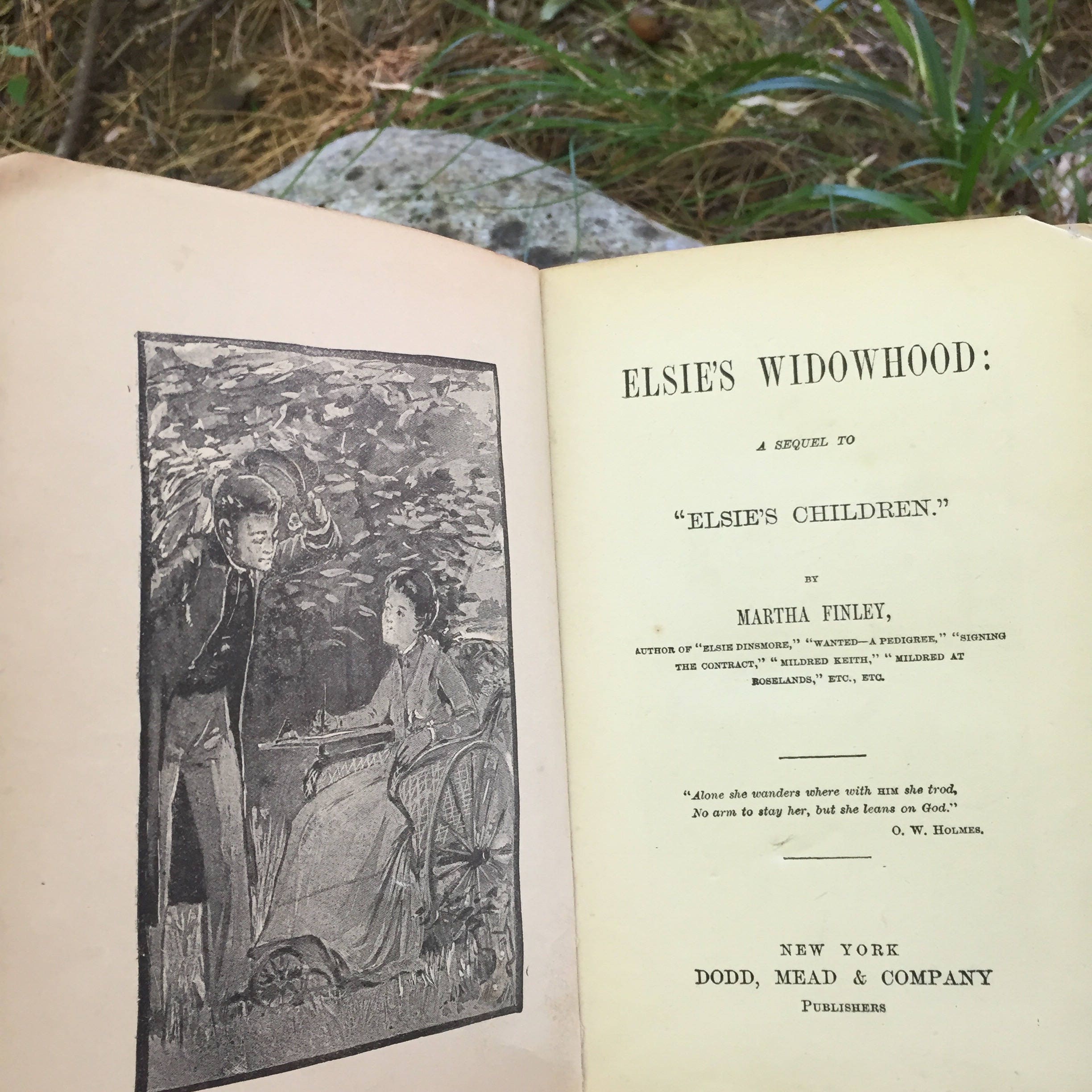 1880 Book, Elsie's Widowhood by Martha Finley, Elsie Dinsmore Book ...
