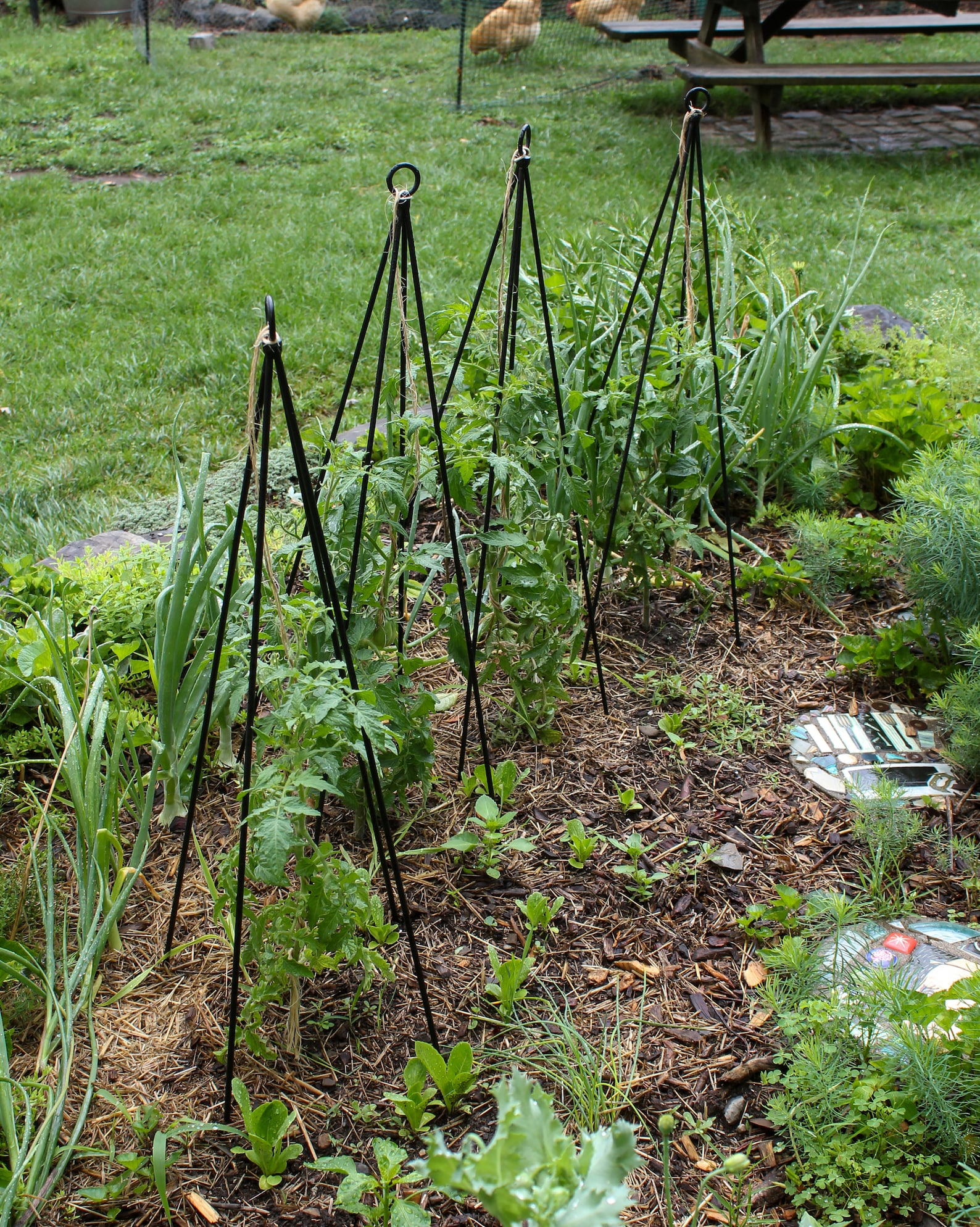 2-container Trellis Plant Support Stakes, Wrought Iron (SET of 2) - Etsy