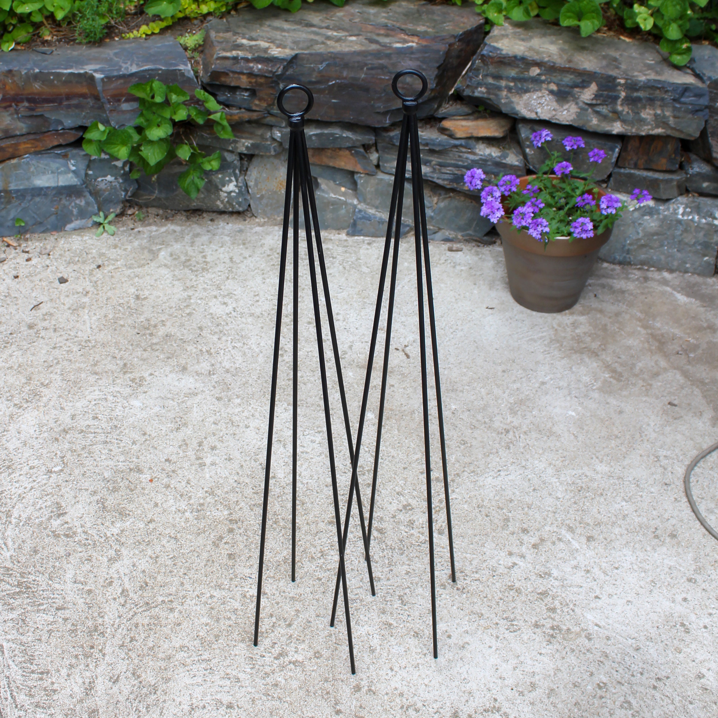 2-Container Trellis Plant Support Stakes Wrought Iron SET of | Etsy