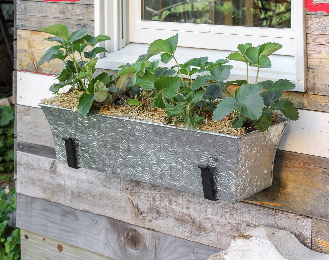 24" Patterned Flower Box Windowbox Vintage-style Planter With Wall ...