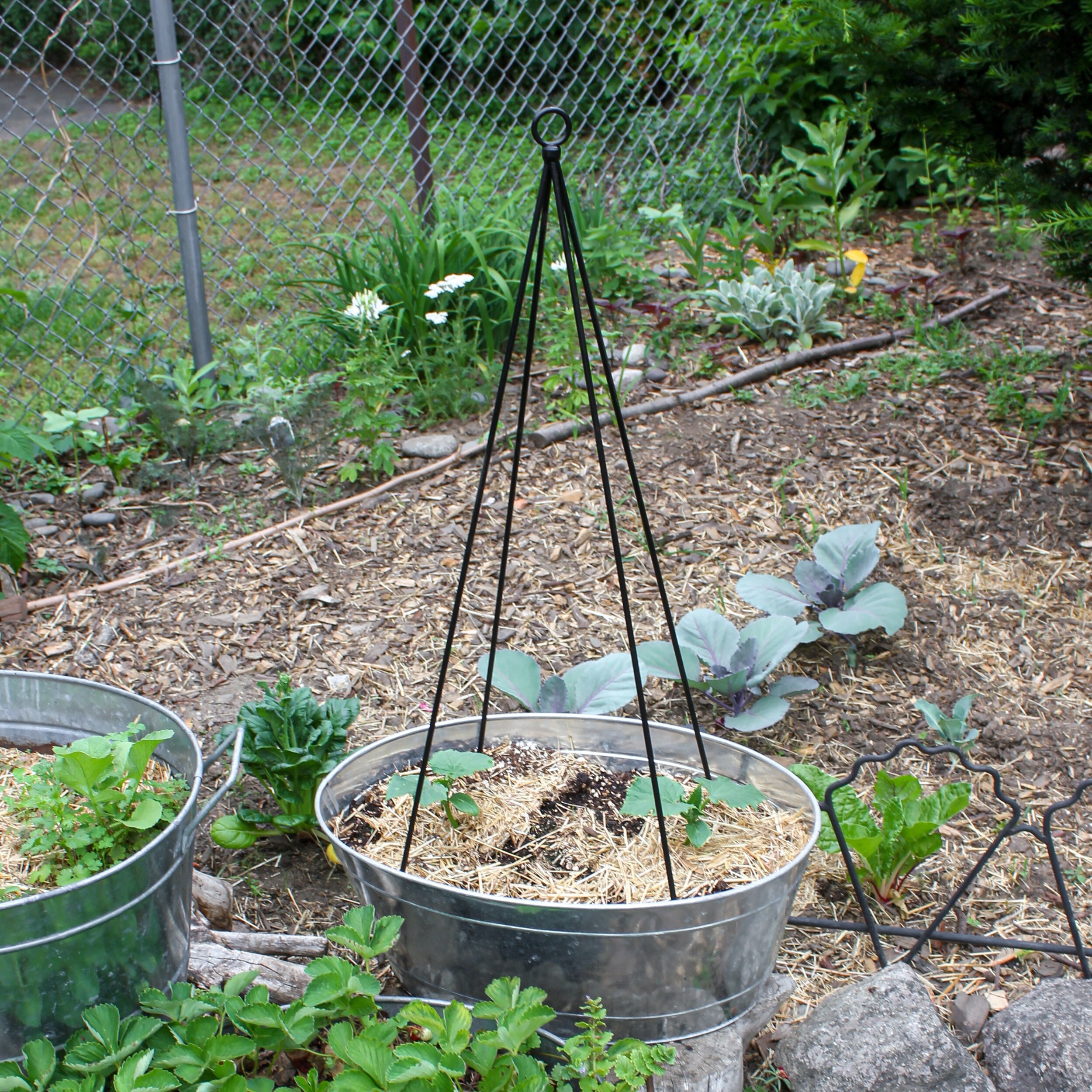 2-container Trellis Plant Support Stakes Wrought Iron SET of - Etsy