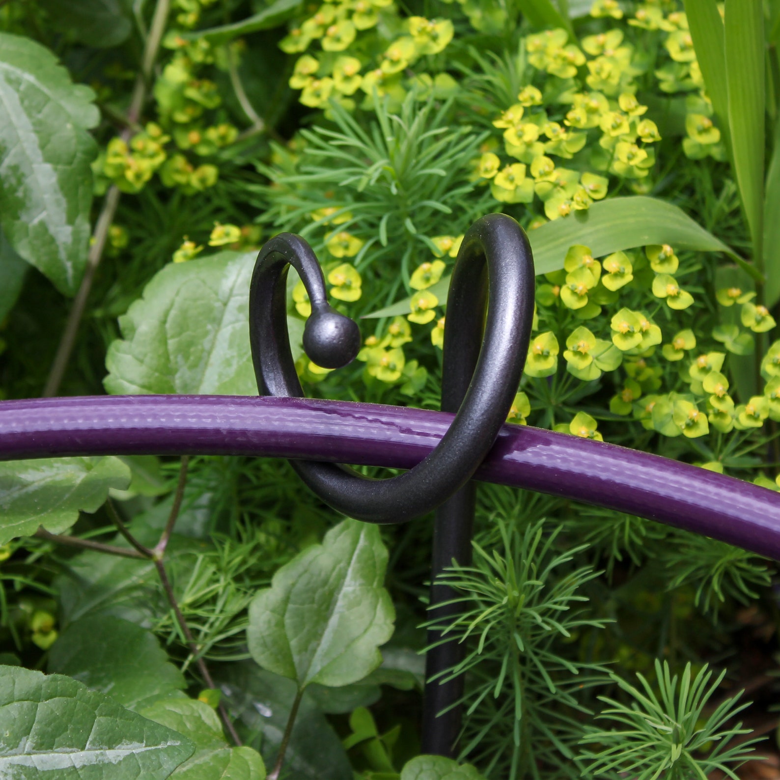 6-hose Guides With Ball Ends, Wrought Iron (SET of 6) - Etsy