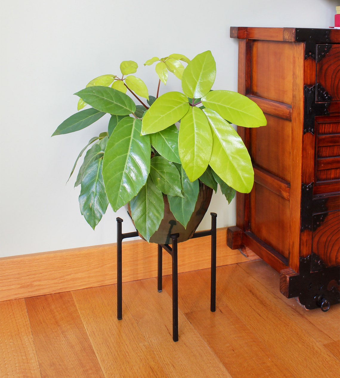 Mini Modern Plant Stand Flowerpot Holder Indoor/outdoor - Etsy