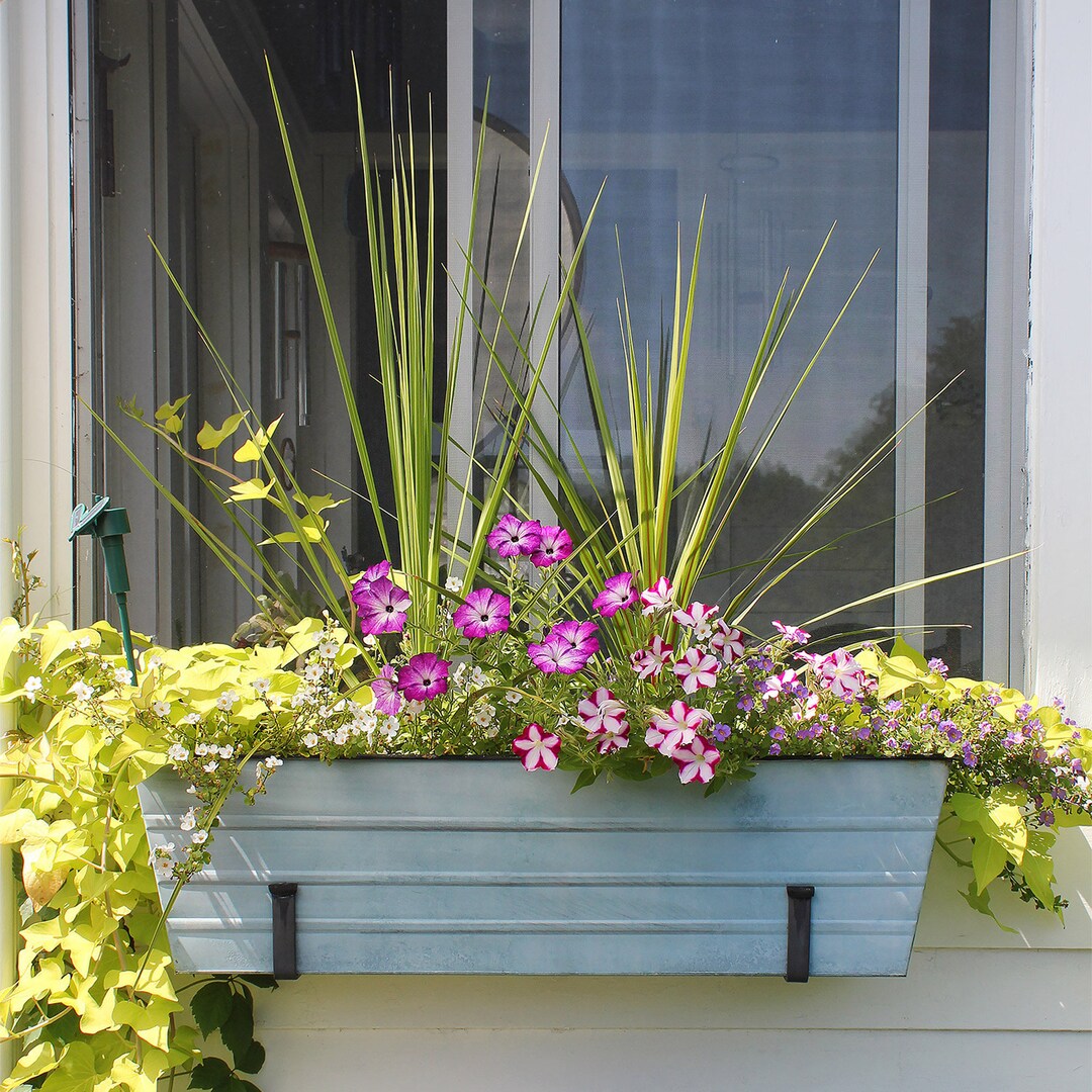 36l Slate Blue Wall-mount Window Box Planter With - Etsy
