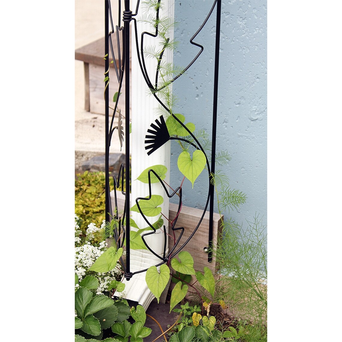Flower and Vine Wrought Iron Downspout Garden Trellis- 92"h - Etsy