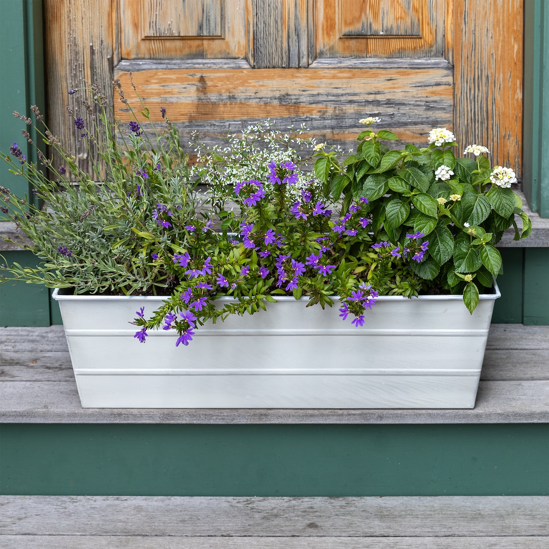 24"l White Window Box Planter, Galvanized Steel - Etsy