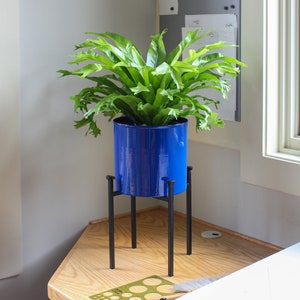 Blue Planter With Mini Modern Plant Stand Flowerpot Holder Indoor ...