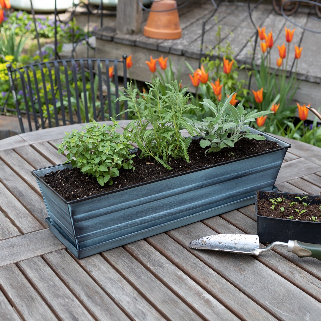 22" Slate Blue Flower Windowbox Planter, With Tray - Etsy