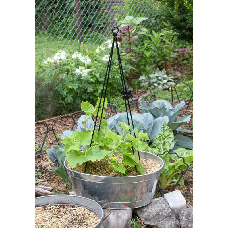 2-container Trellis Plant Support Stakes, Wrought Iron (SET of 2) - Etsy