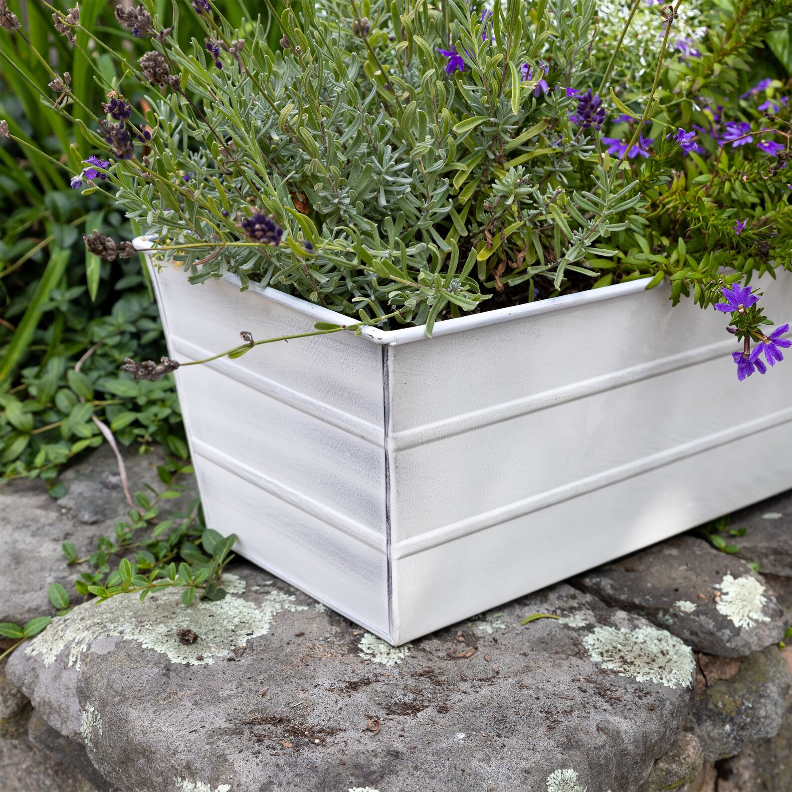 24"l White Window Box Planter, Galvanized Steel - Etsy