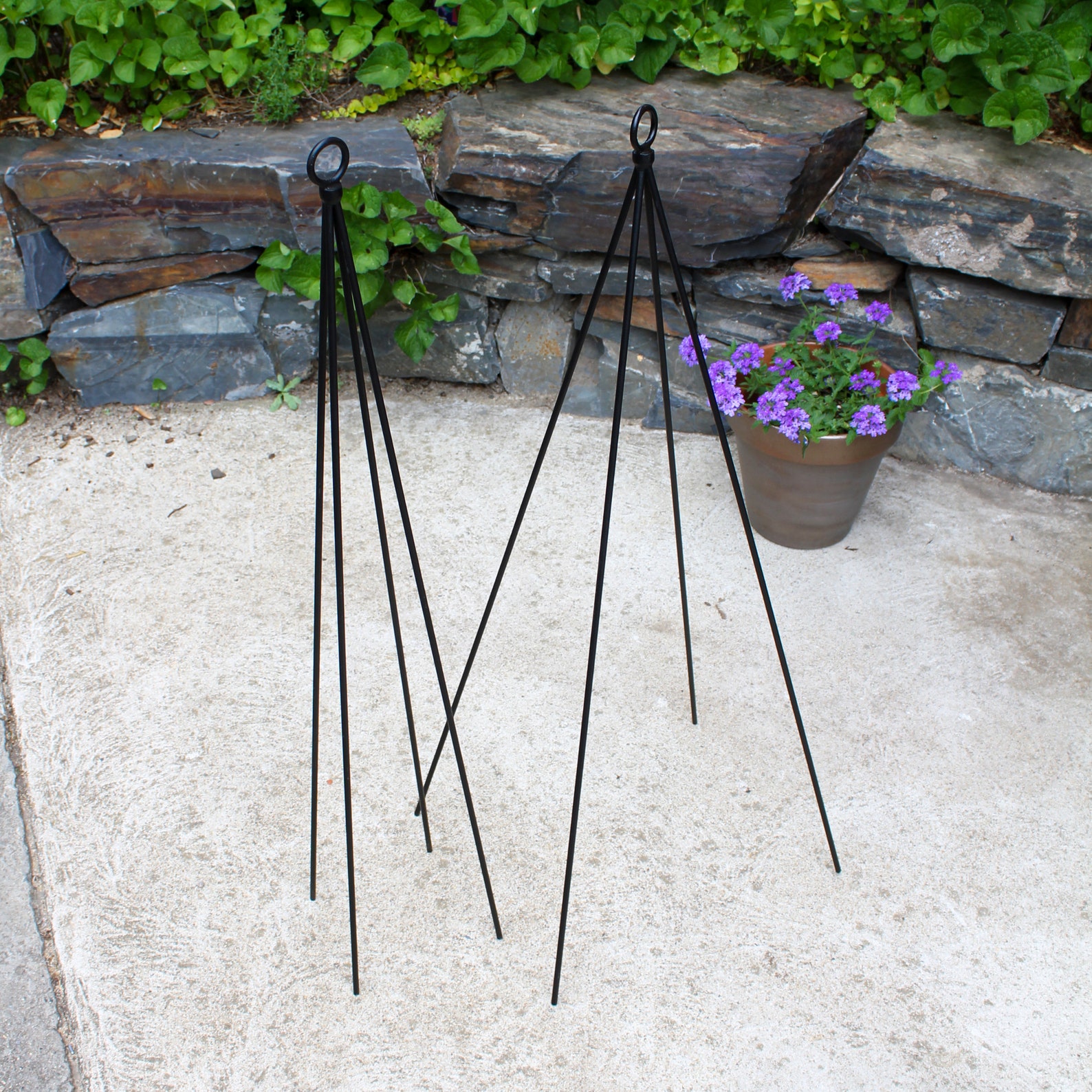 2-Container Trellis Plant Support Stakes Wrought Iron SET of | Etsy