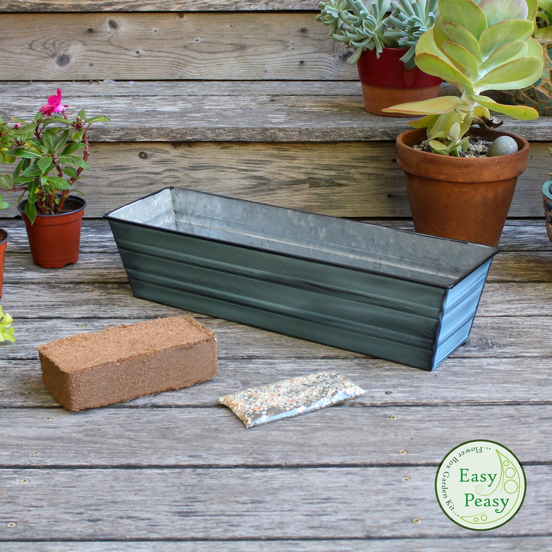 Easy Peasy Grow Kit With 22" Slate Blue Flower Windowbox Planter - Etsy