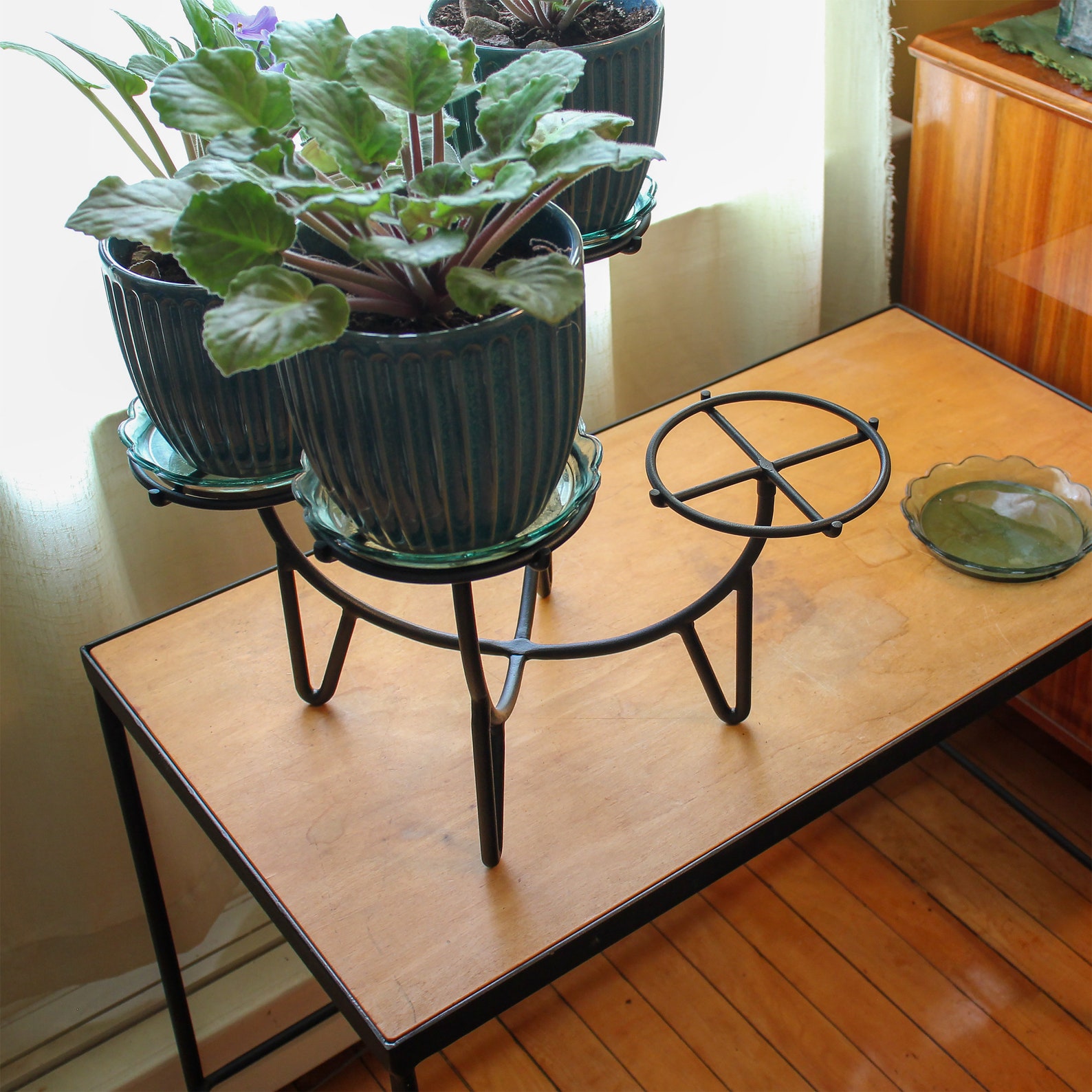 Orbit Modern Four Plant Stand - Etsy