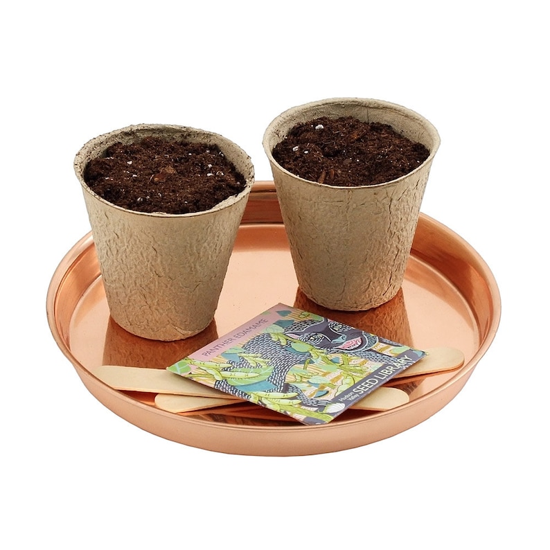 Copper Trays Set of 2 8 Round for Plants or Tabletop | Etsy