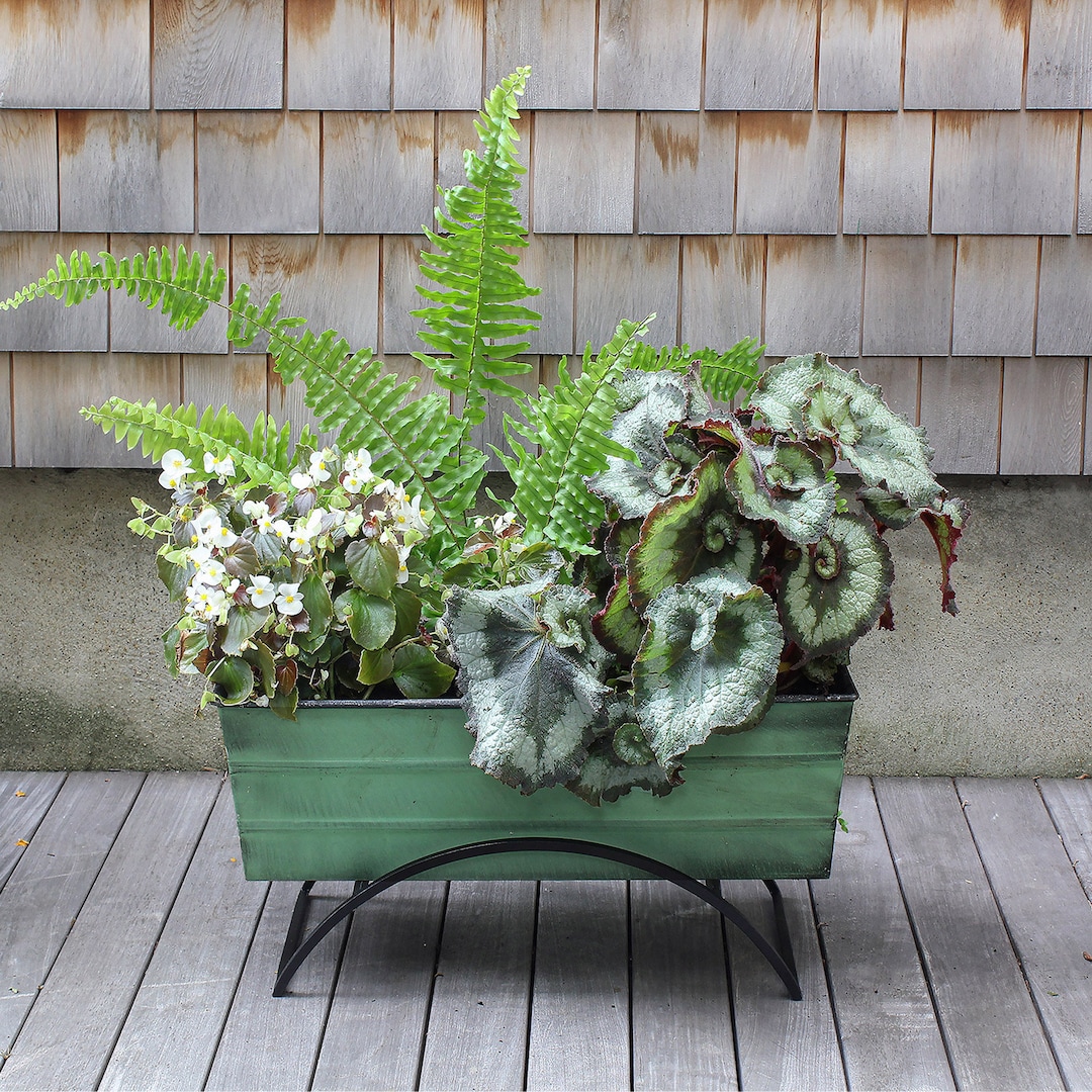 24"l Green Flower Box Planter With Modern Stand - Etsy