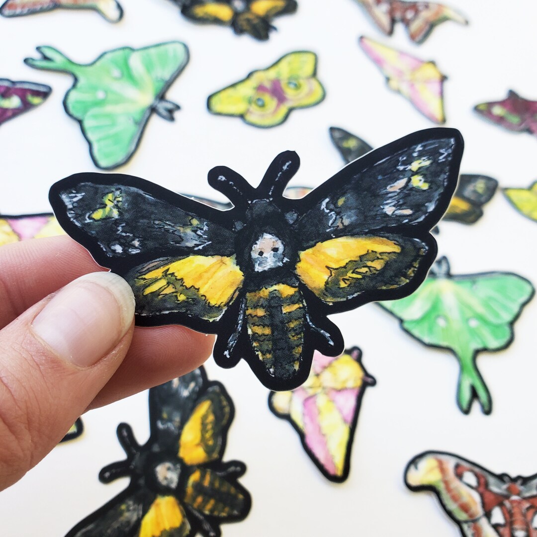 Myriad of Moths | Matte Vinyl Sticker Pack - Etsy